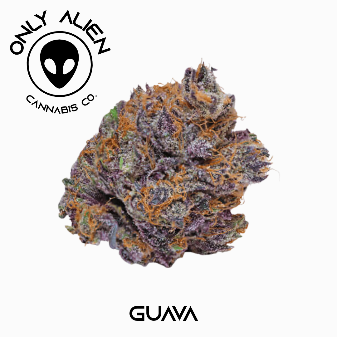 ONLY ALIEN CULTIVATED - Guava | 1G | Flower Preroll