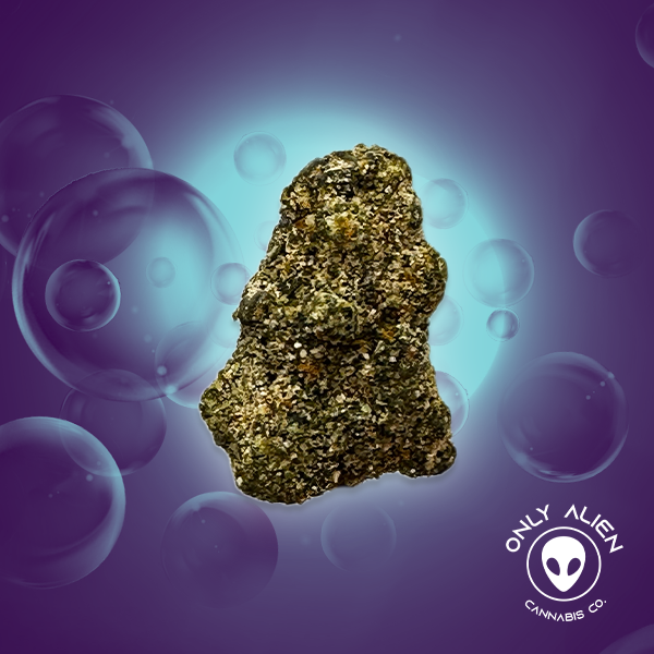 SHAMPINE - Grape Gushers | Shampine Infused Pre-pack 3.5G