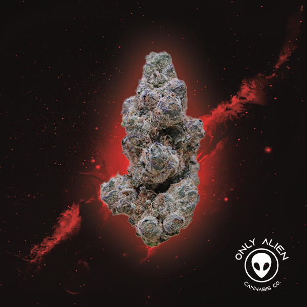 BURTON MGMT - Red Runtz | Iced Out Flower 3.5G Smalls